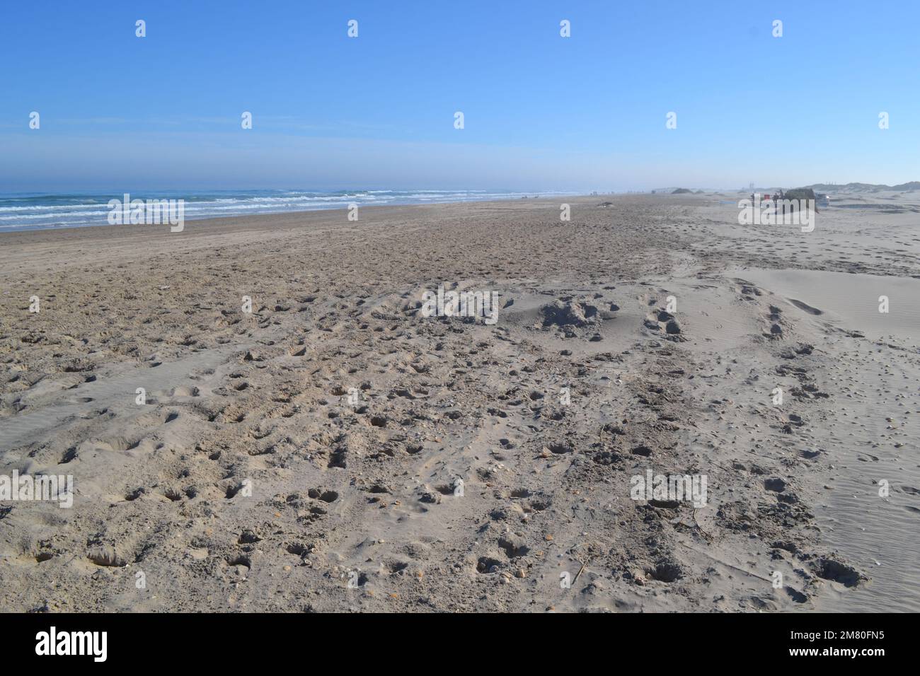 Sand dunes at Sea Shell Beach, South Padre Island, Texas Stock Photo ...