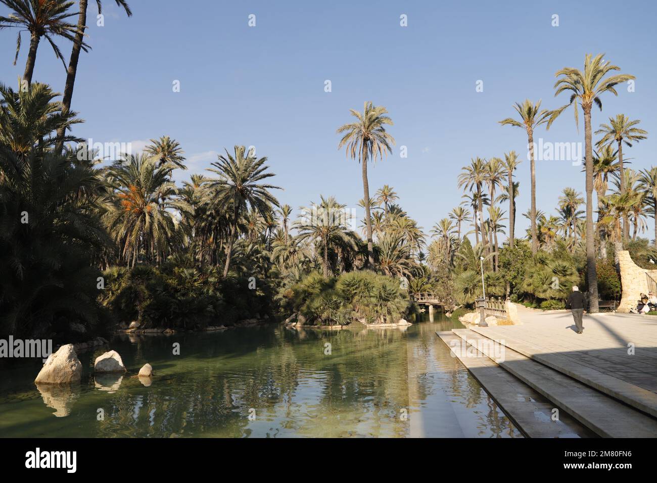 Parc el Palmeral, Alicante, Spain Stock Photo - Alamy