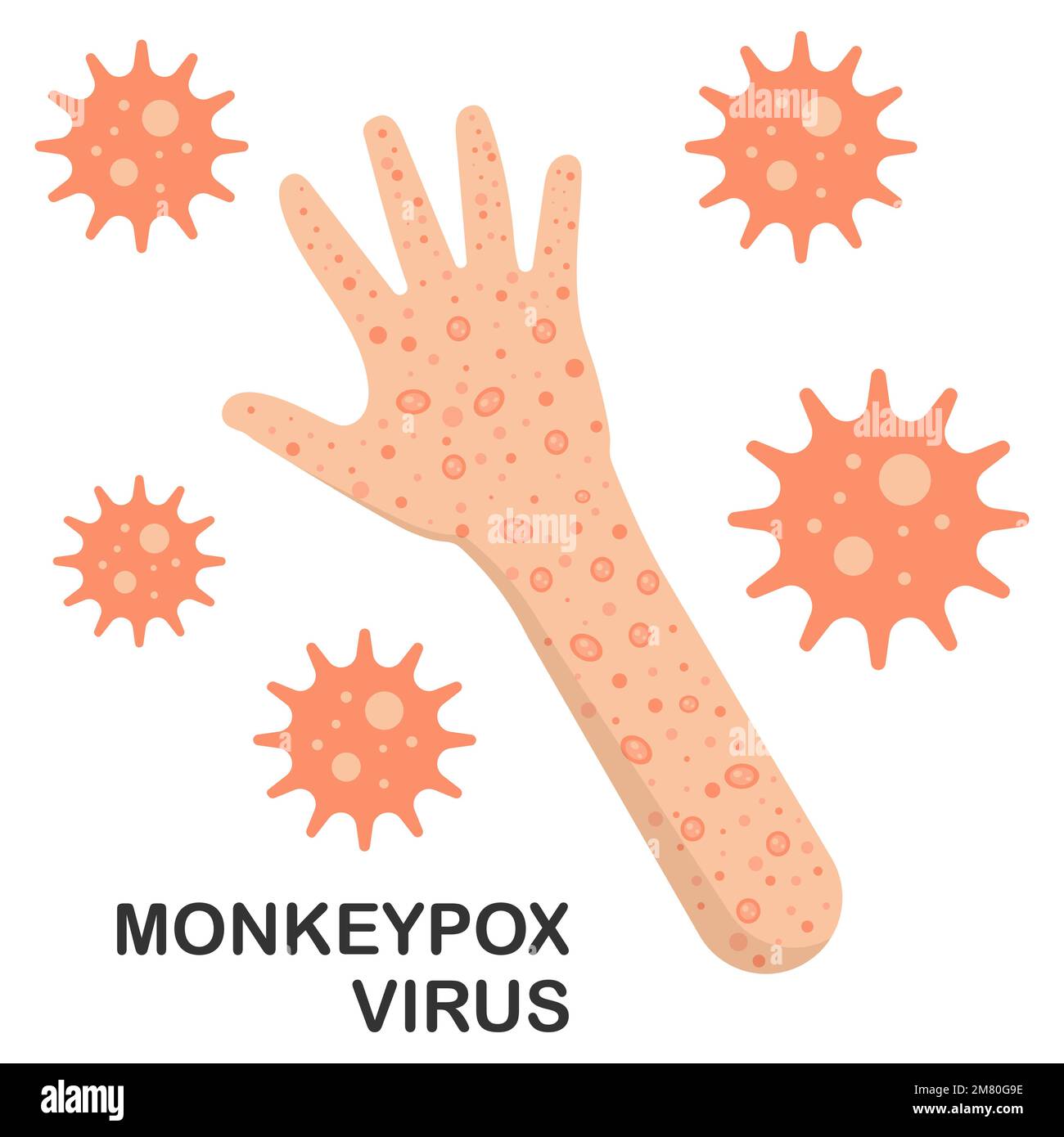 Monkey arm anatomy Stock Vector Images - Alamy