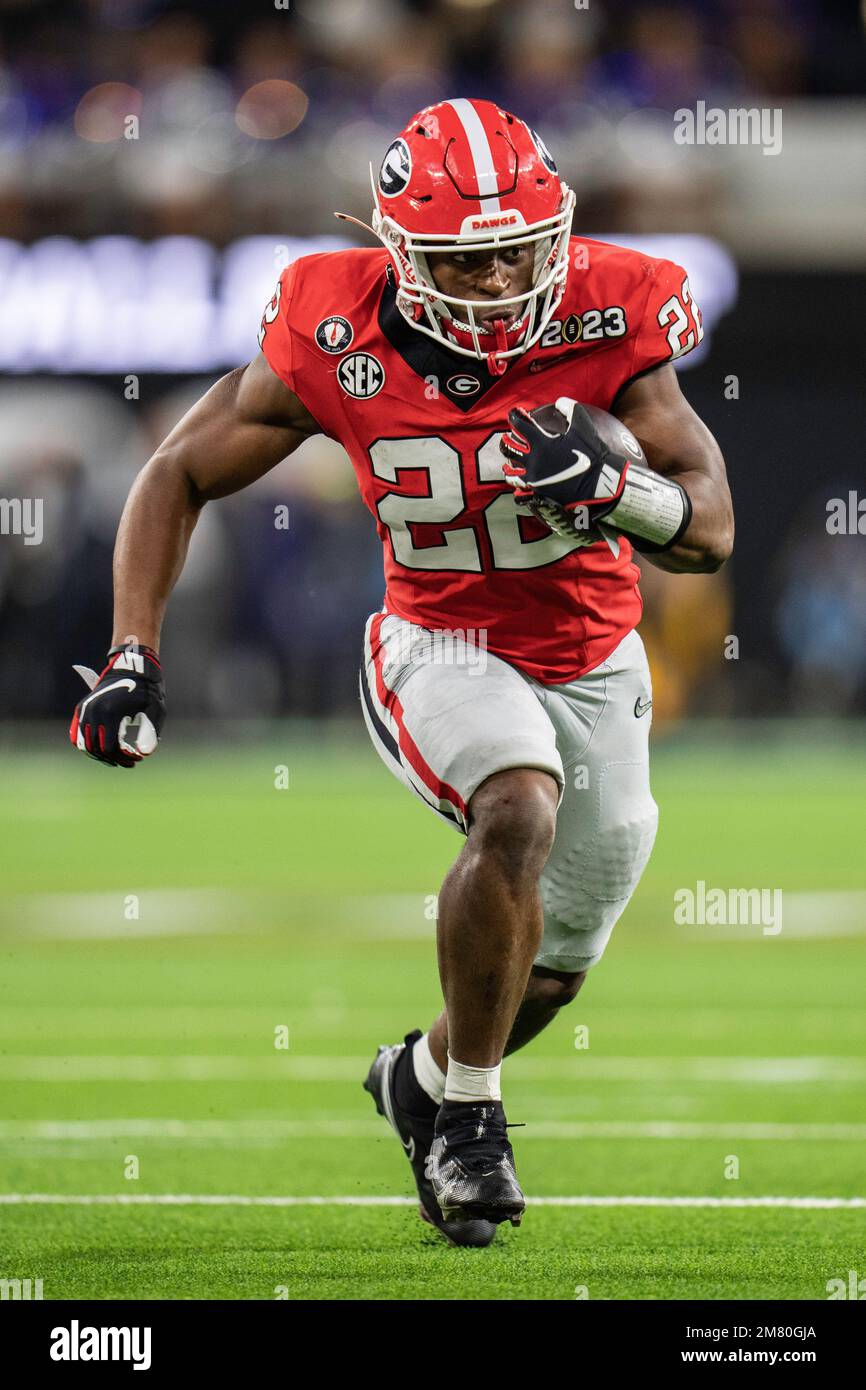 Georgia Bulldogs running back Branson Robinson (22) runs the ball ...