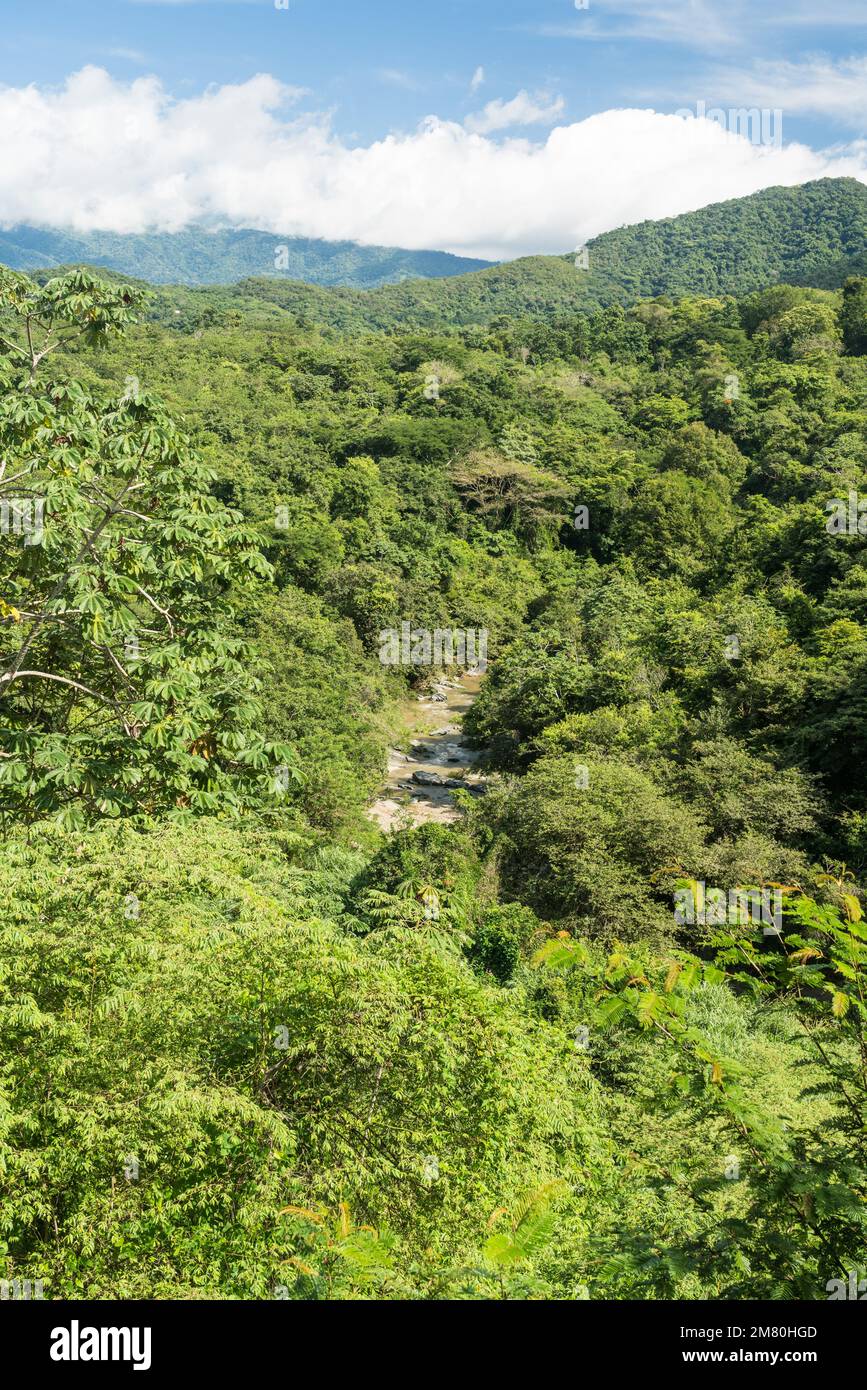 A river in the Sierra Madre del Sur Mountains of Oaxaca, Mexico Stock ...