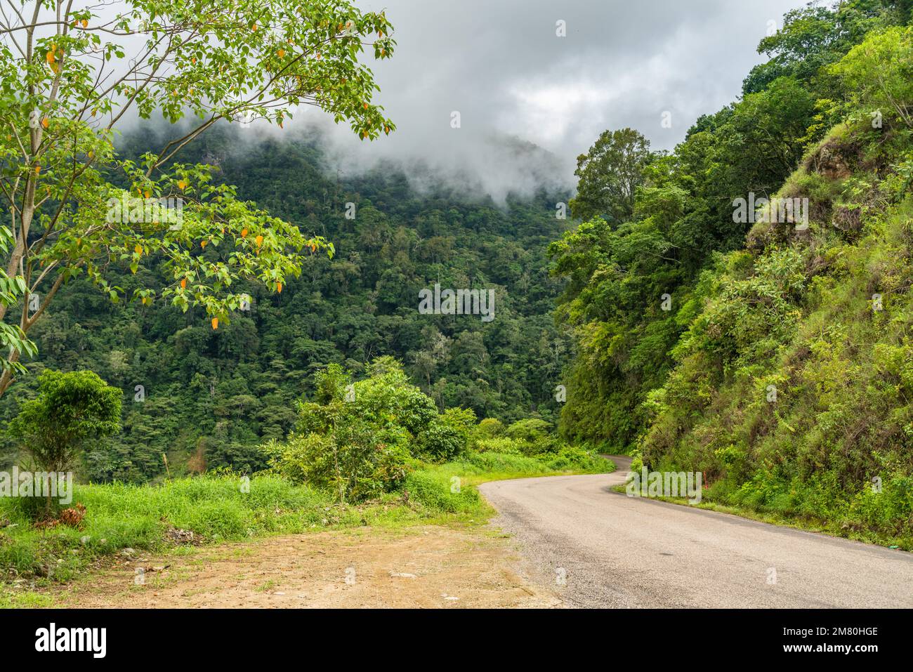 Low clouds shroud the tops of the peaks in the Sierra Madre del Sur ...