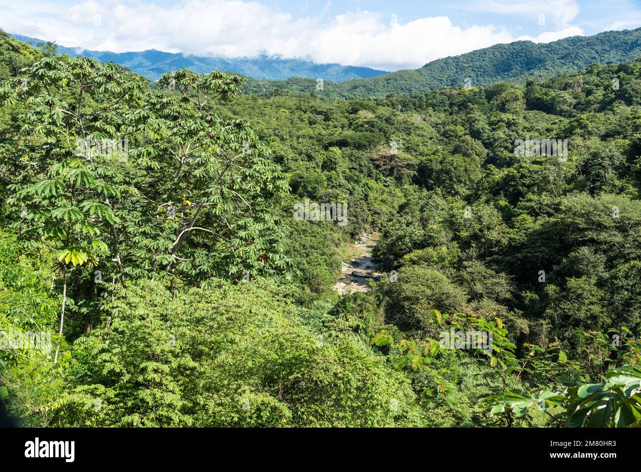 A river in the Sierra Madre del Sur Mountains of Oaxaca, Mexico Stock ...