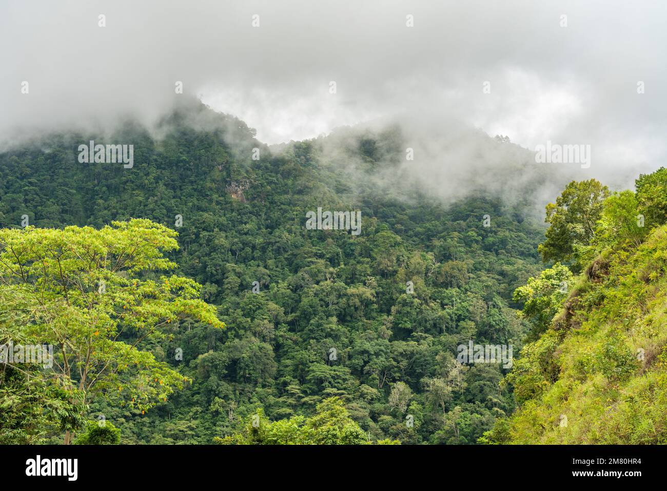 Low clouds shroud the tops of the peaks in the Sierra Madre del Sur ...