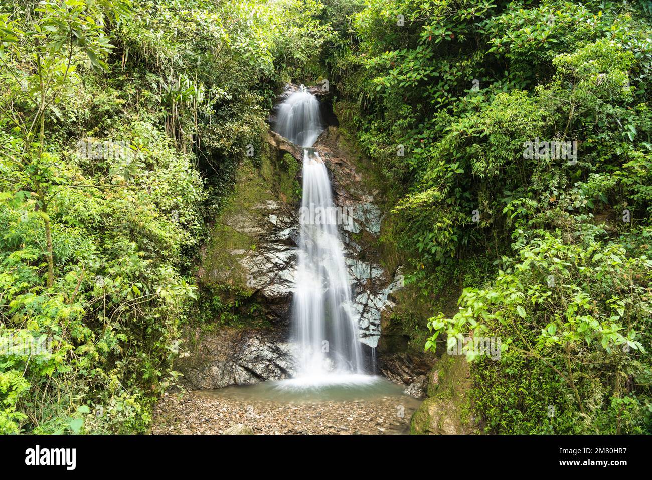A small waterfall in the Sierra Madre del Sur Mountains of Oaxaca ...