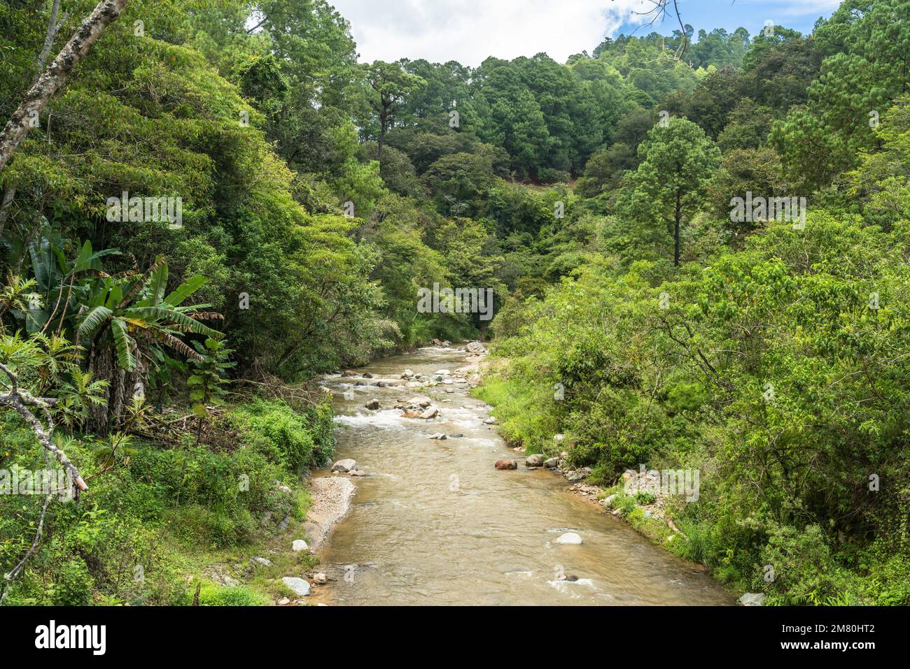 The RIo Copalita, a river in the rainforest near Santa Maria Jalatengo ...
