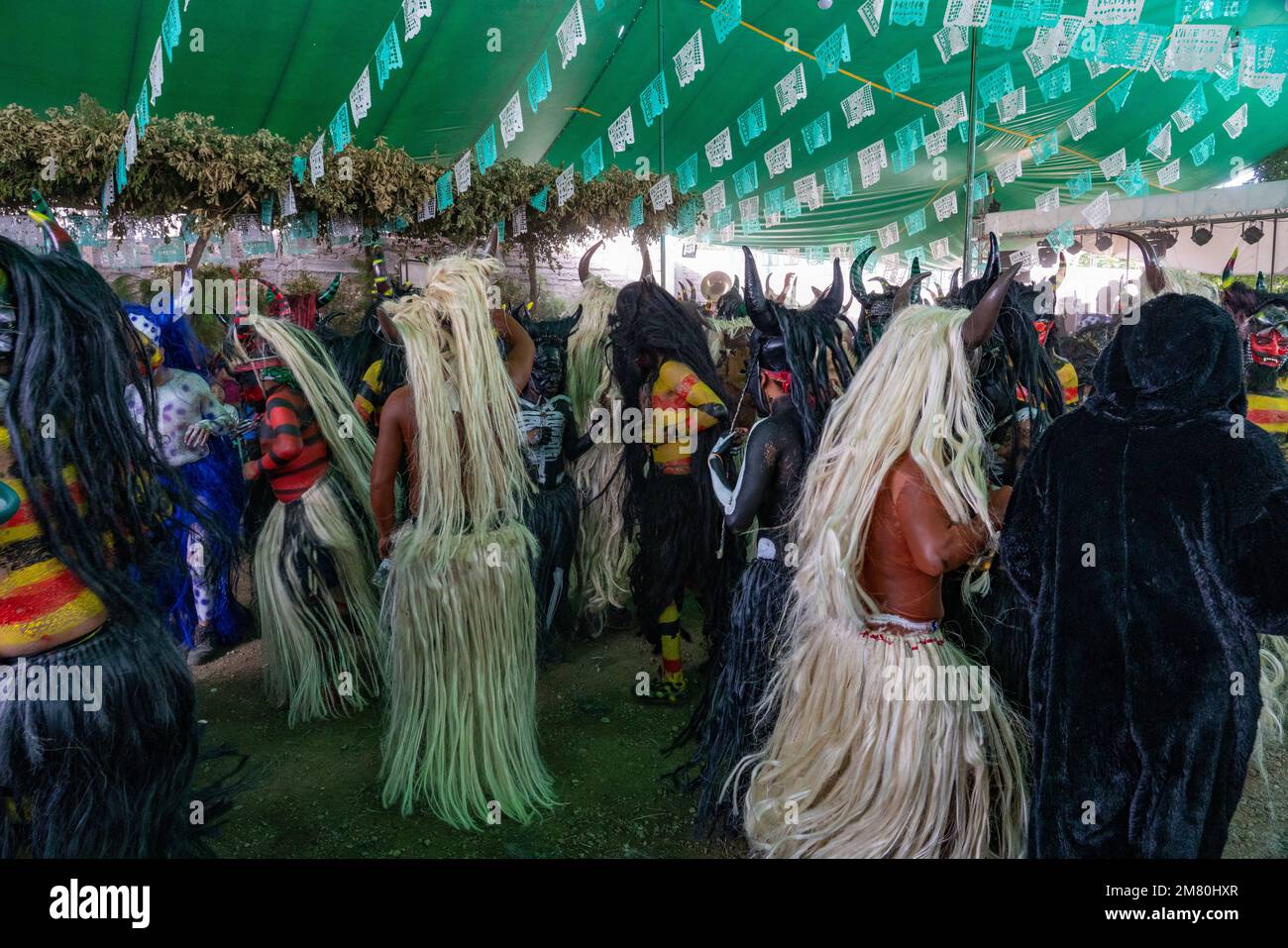 Celebrants in cachudo costumes with masks & horns at the Fiesta of ...
