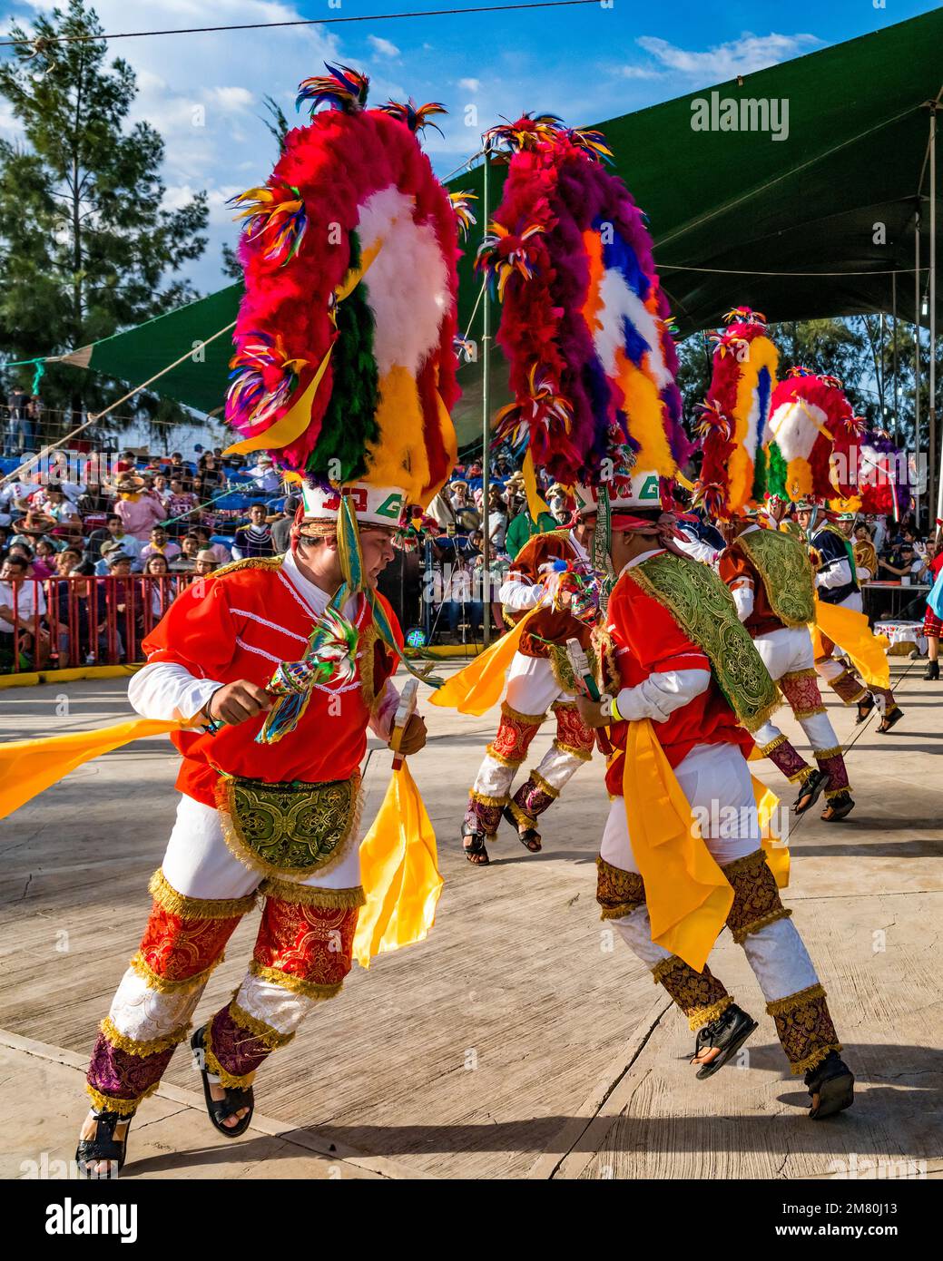 Dancers from Villa de Zaachila perform the Danza la Pluma at the ...