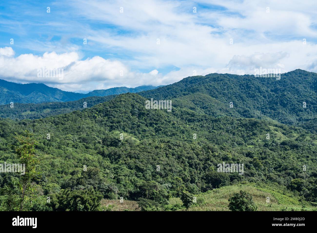Low clouds shroud the mountaintops in the Sierra Madre del Sur ...