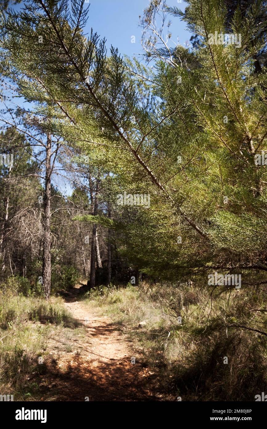 Way to Arnes. Teruel province Stock Photo - Alamy
