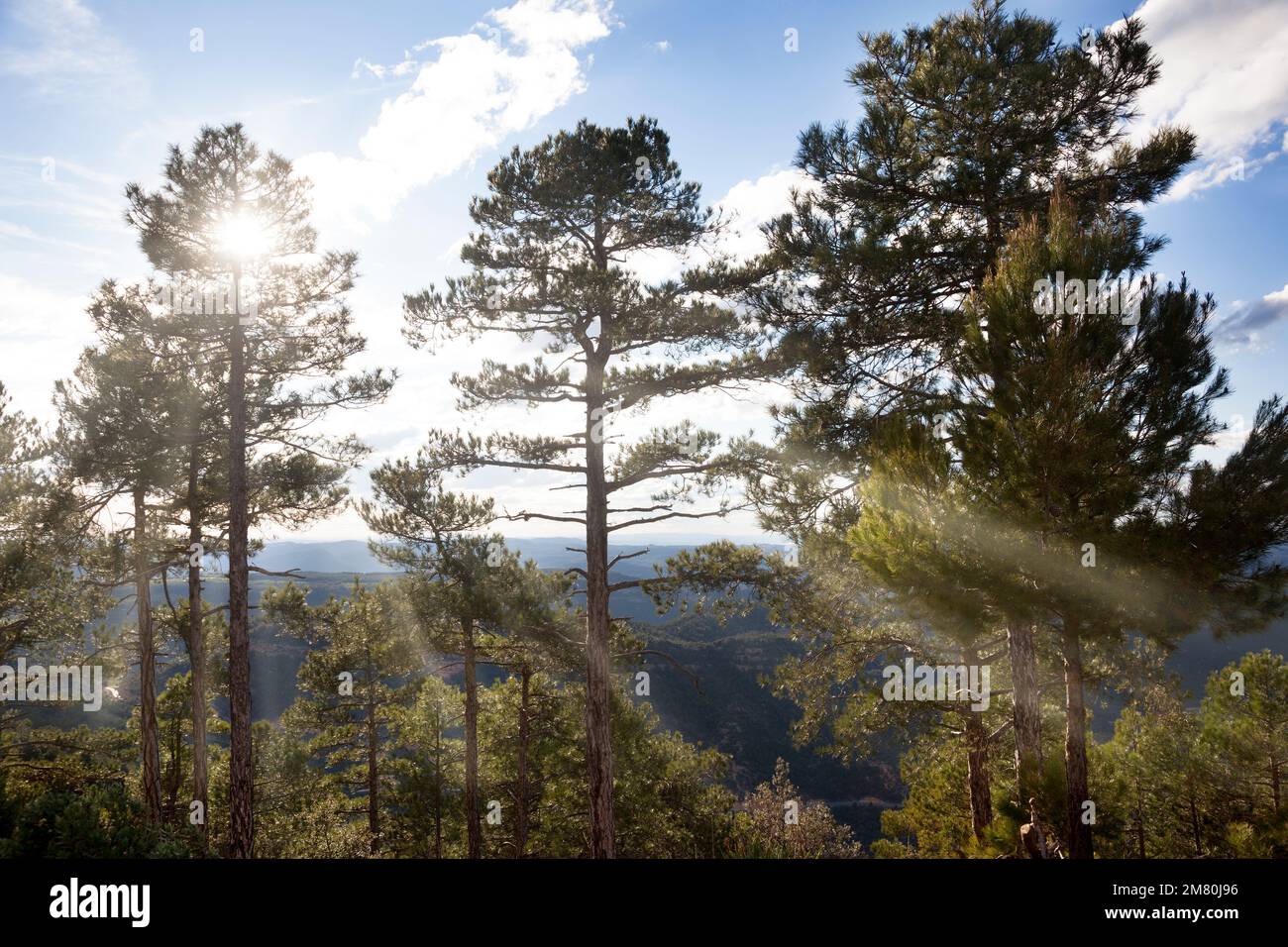 Los Ports natural park. Beceite. Spain Stock Photo - Alamy
