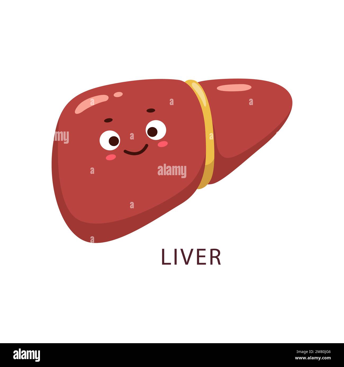 Cartoon liver human body organ character. Vector healthy digestive ...