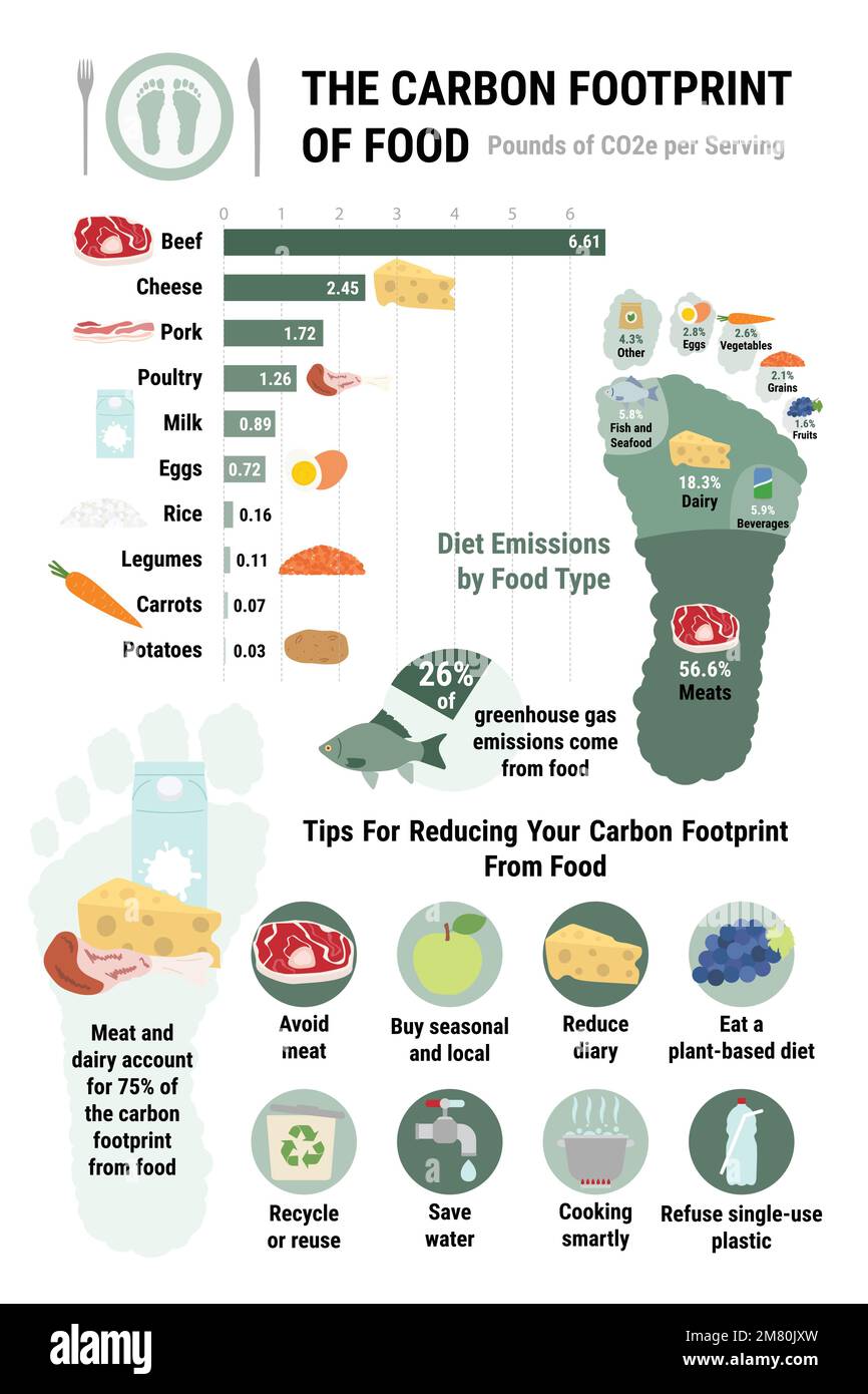 Carbon footprint of food infographic. Tips for reducing your personal ...