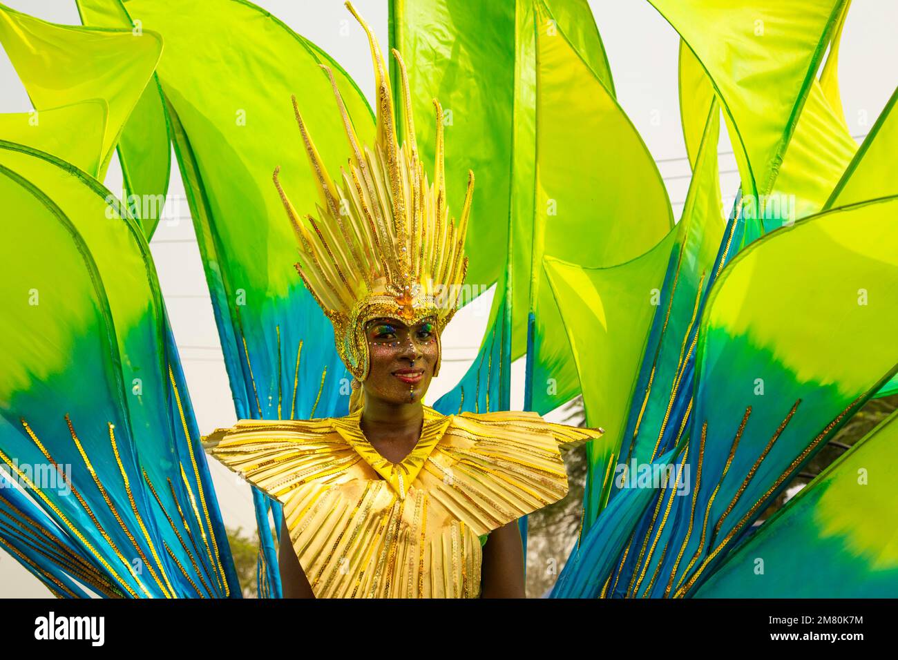 Carnival Festival in Calabar (Nigeria Stock Photo - Alamy