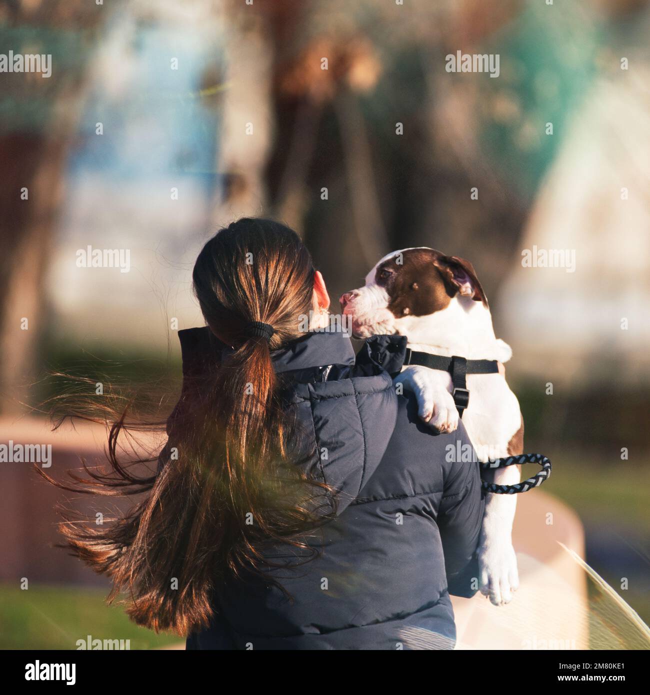 Girl white dog hi-res stock photography and images - Alamy