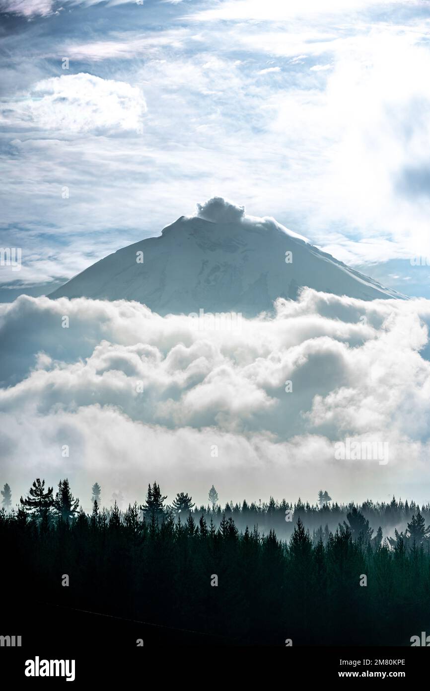 Chimborazo volcano in Andes, the highest mountain in Ecuador Stock ...