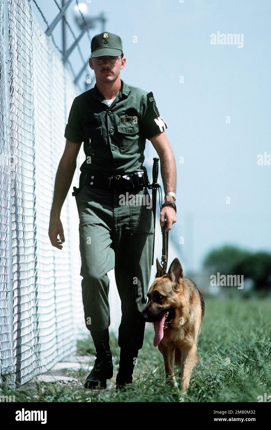 A German shepherd, a graduate of the Department of Defense Center ...