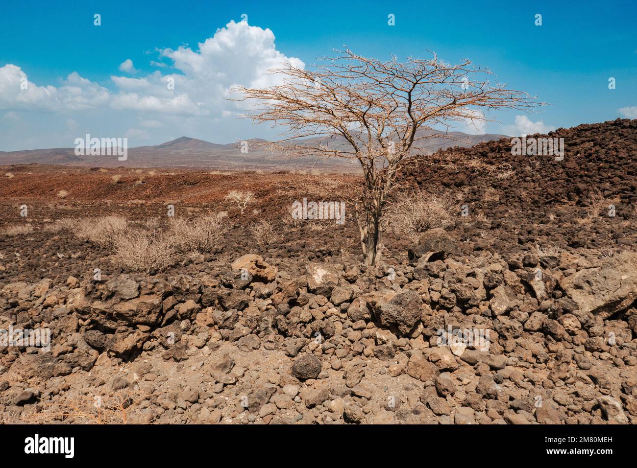 Scenic view of the panaramic desert landscapes in Loiyangalani in ...