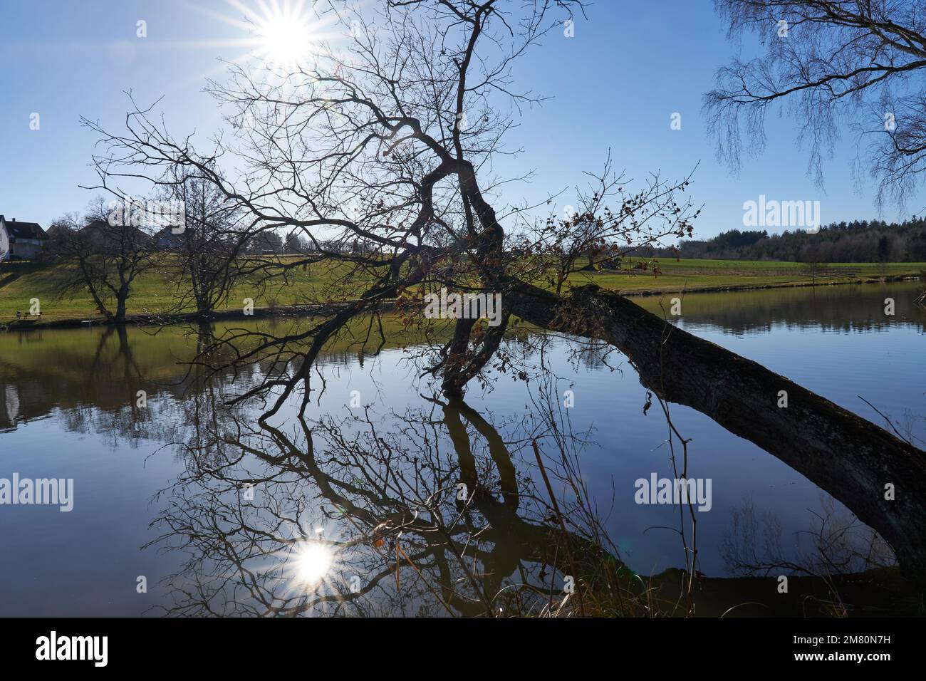 über baum hi-res stock photography and images - Alamy