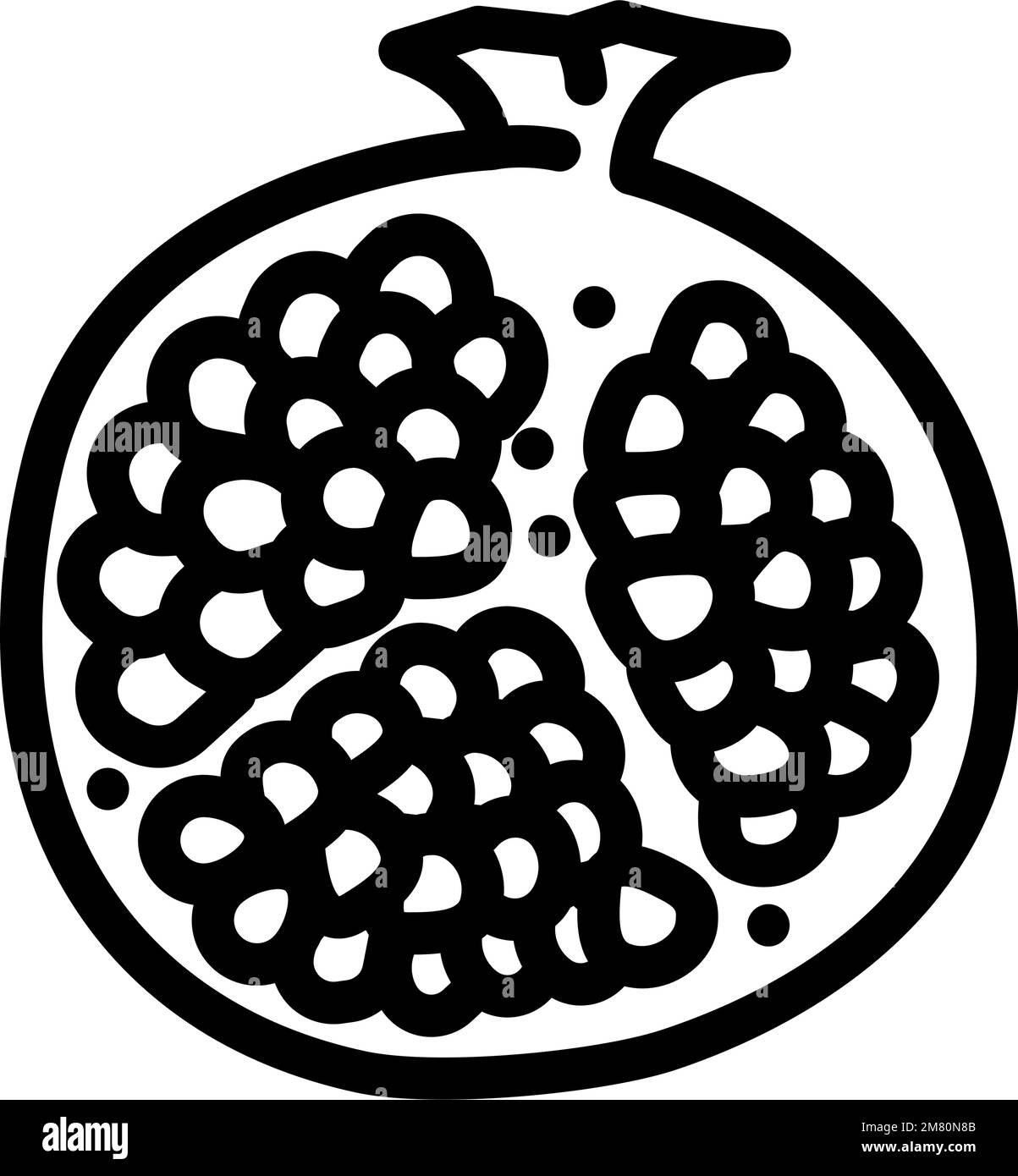 cut pomegranate line icon vector illustration Stock Vector Image & Art ...
