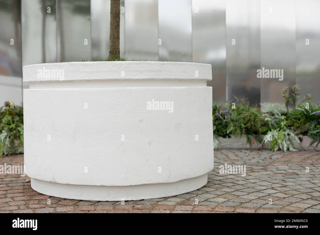 White pot for tree in park. Flower bed for plant. Park facility. Tree ...