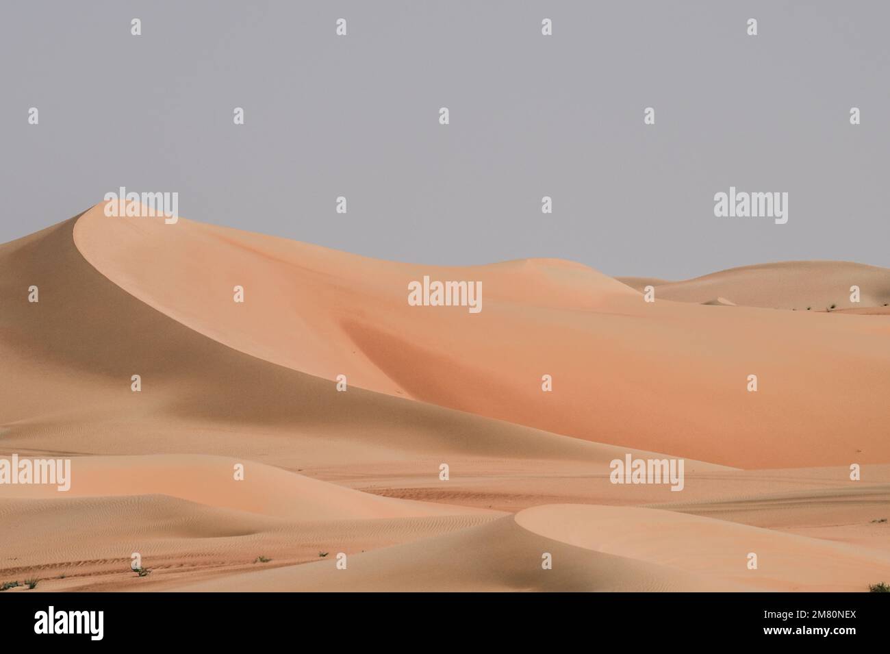 dunes during the Stage 10 of the Dakar 2023 between Haradh and Shaybah ...