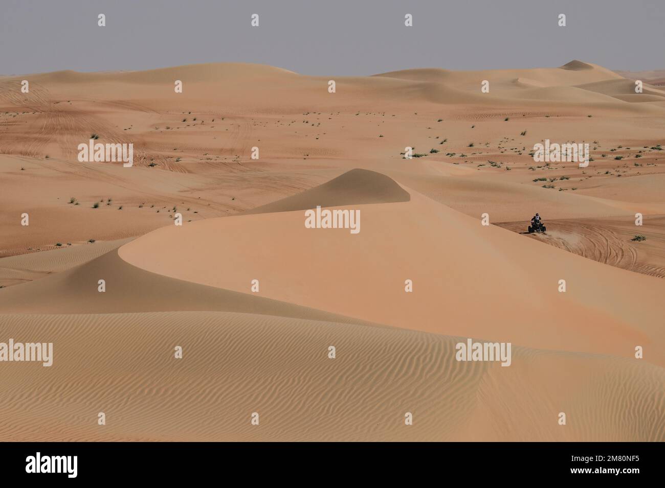 quad during the Stage 10 of the Dakar 2023 between Haradh and Shaybah ...