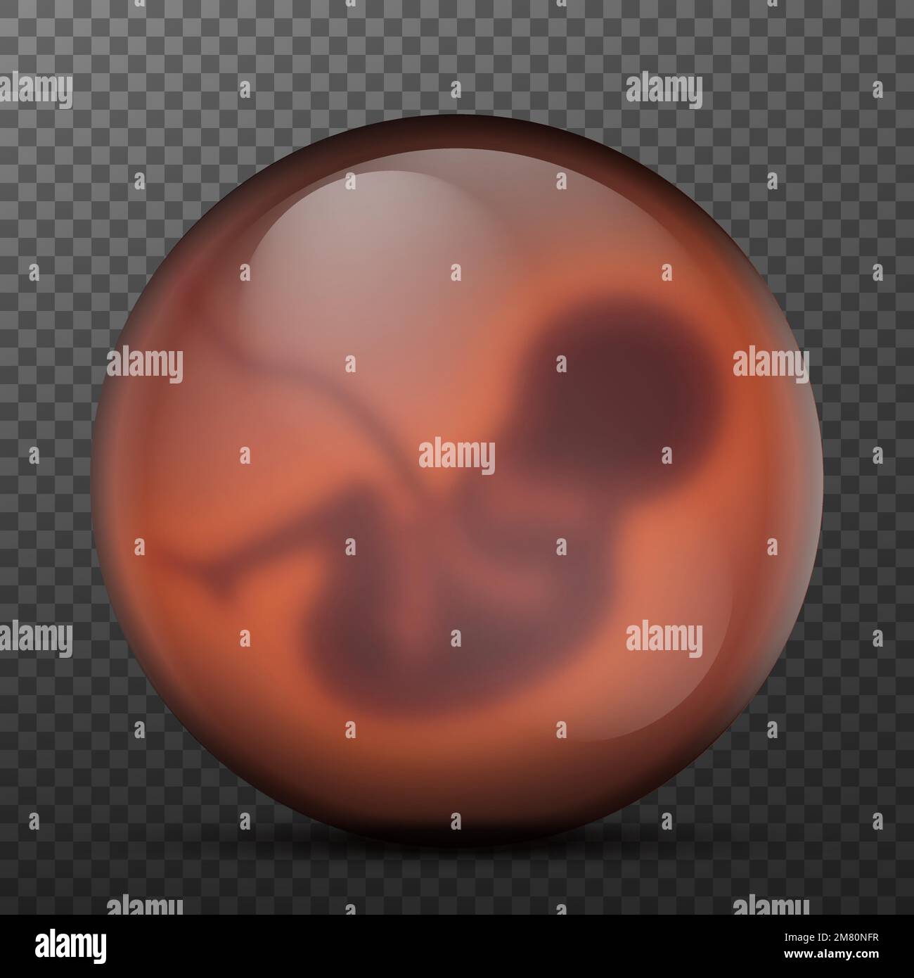 Pregnancy concept. Blurred Child in the womb, embryo in glass ball. The ...