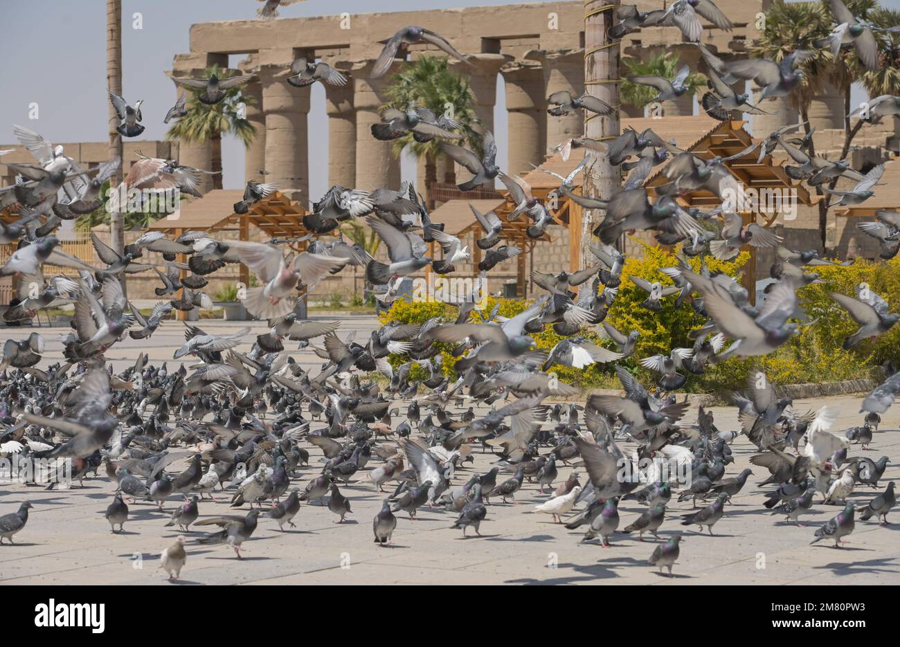 Abu el haggag square hi-res stock photography and images - Alamy