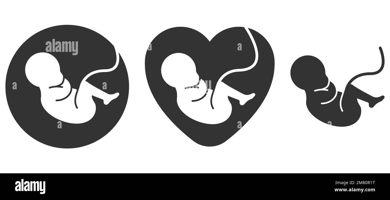 Fetus icon. Prenatal human child with placenta symbol. Embryo sign ...