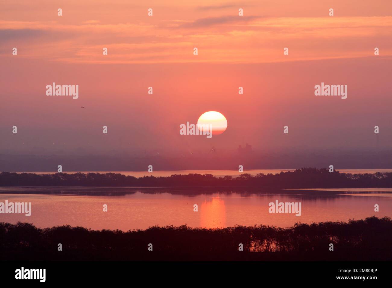 The red color sunrise in Tampa with industrial view in a background ...