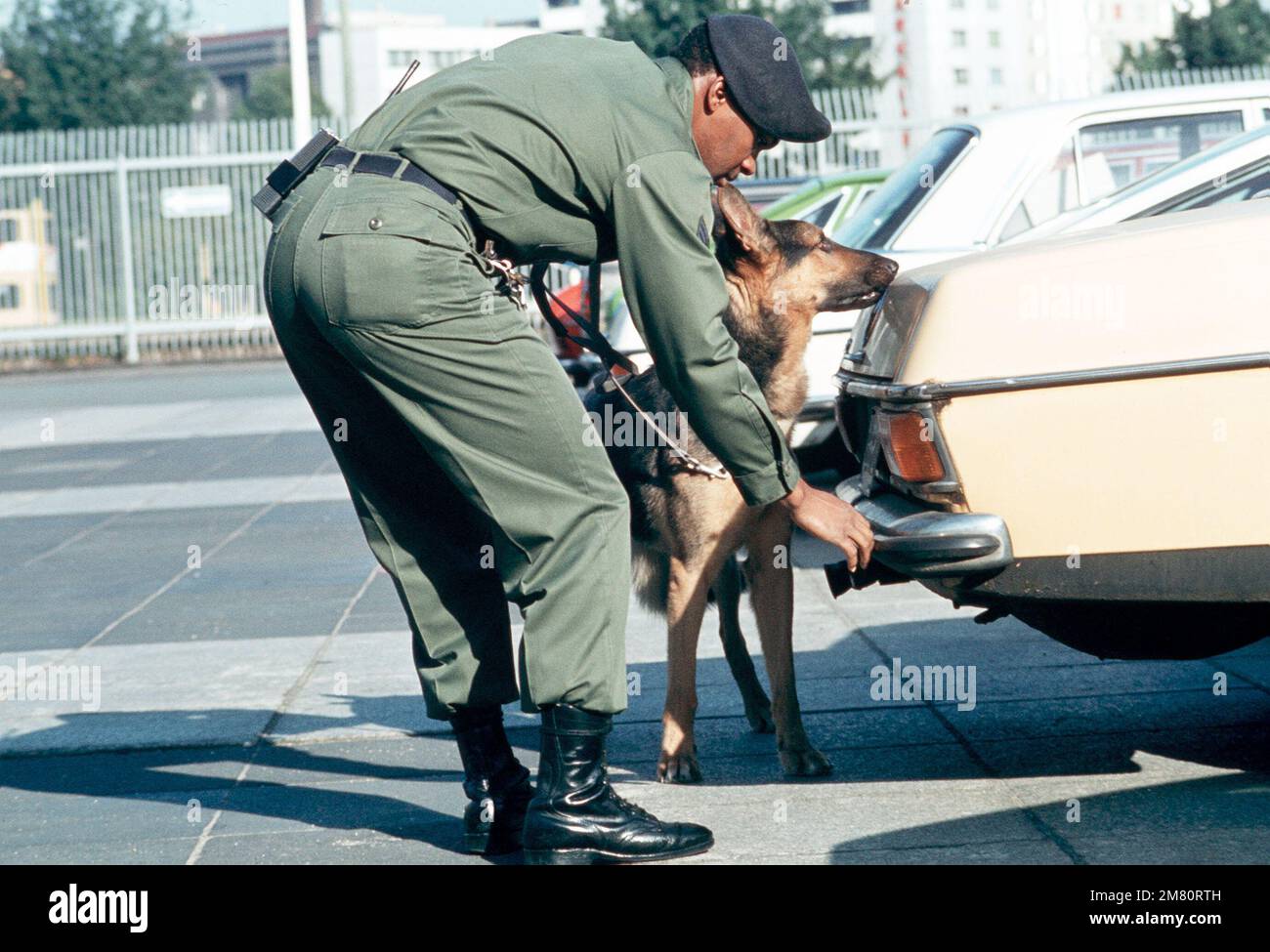 STAFF Sergeant J. Stephen and his drug detection dog, Duke, conduct a ...