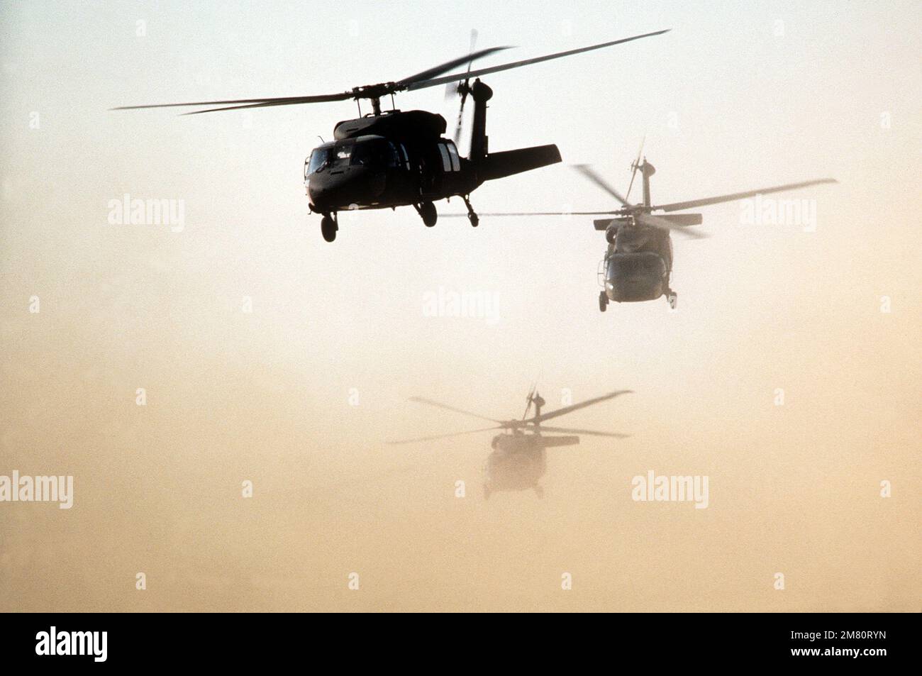 U.S. Army UH-60 Black Hawk (Blackhawk) helicopters fly an air assault ...