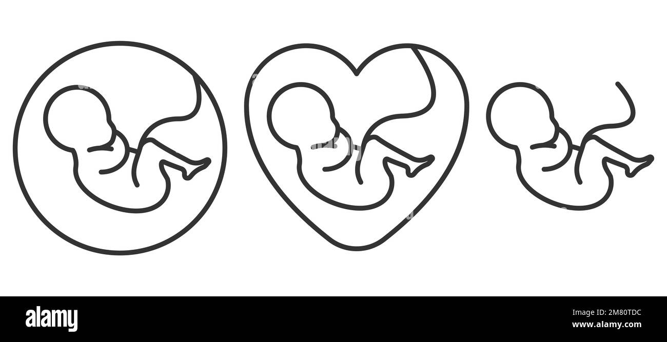 Fetus icon. Prenatal human child with placenta symbol. Embryo sign ...