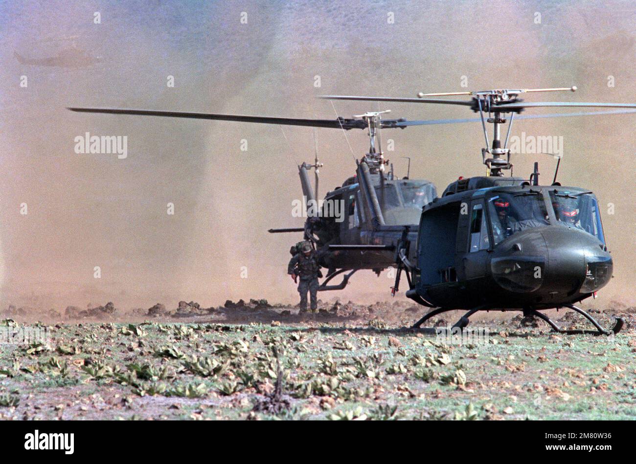UH-1A Iroquois helicopters from the 25th Combat Aviation Battalion ...