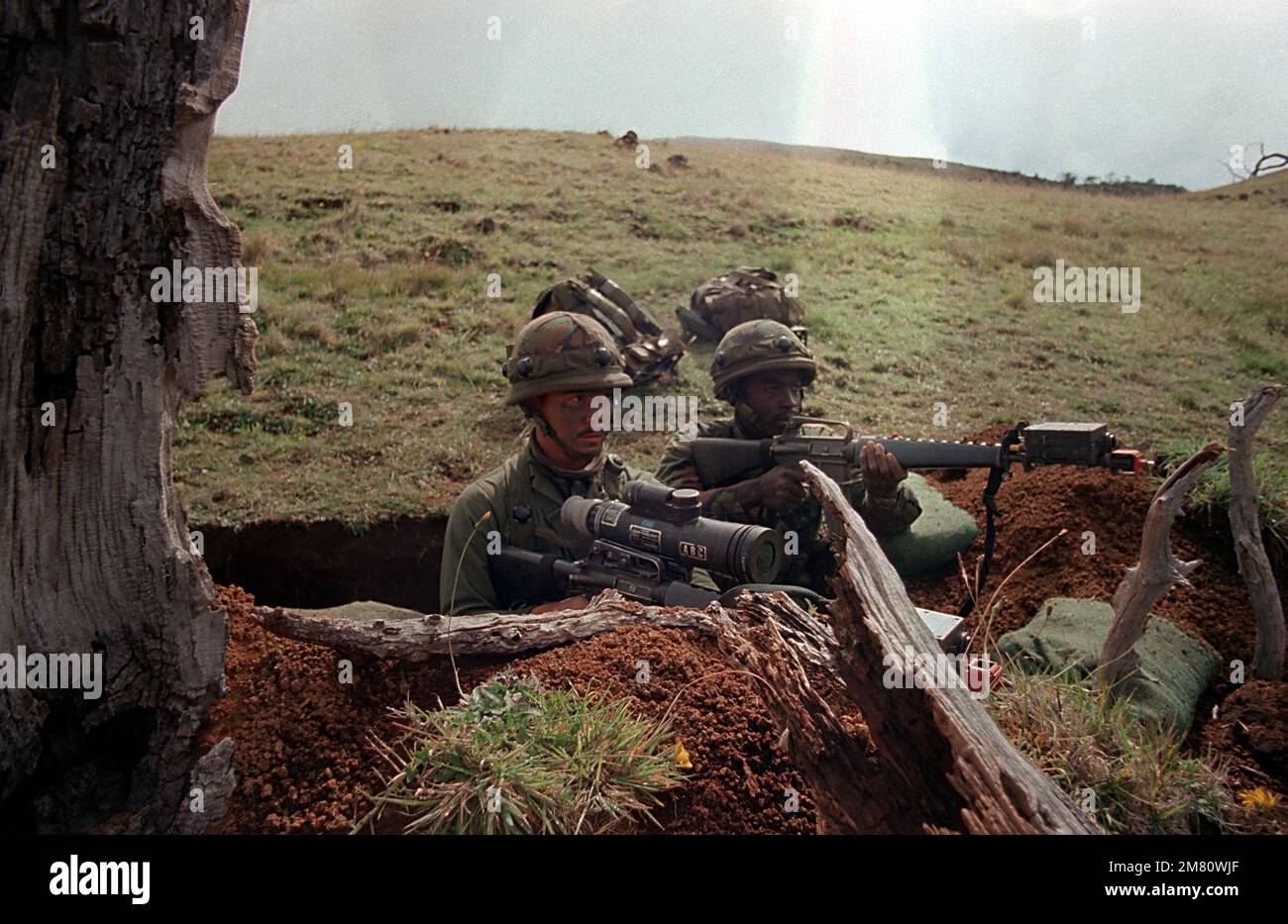 Pvs hi-res stock photography and images - Alamy