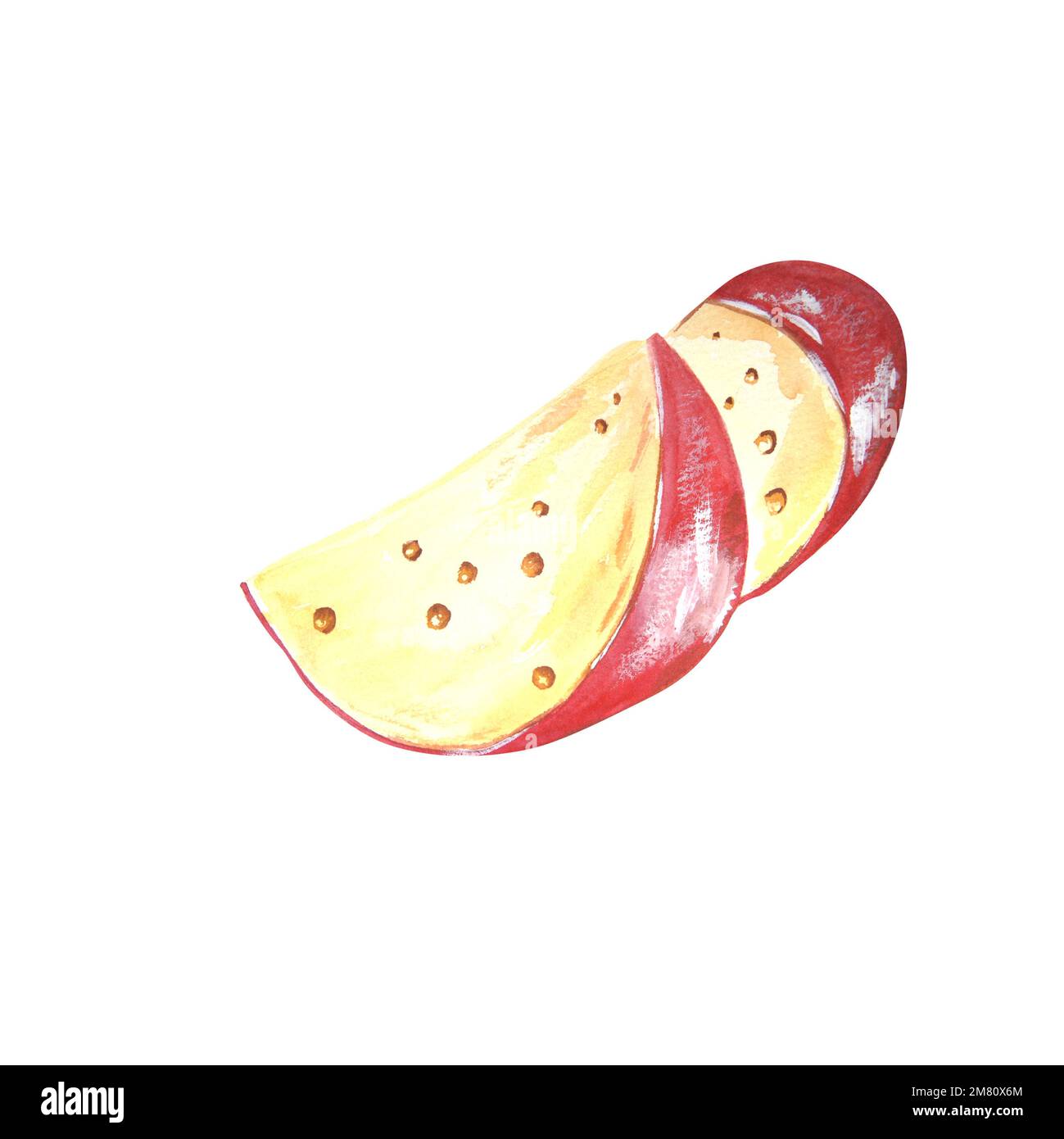 Watercolor drawing of fresh, natural cheese. Isolated on white ...