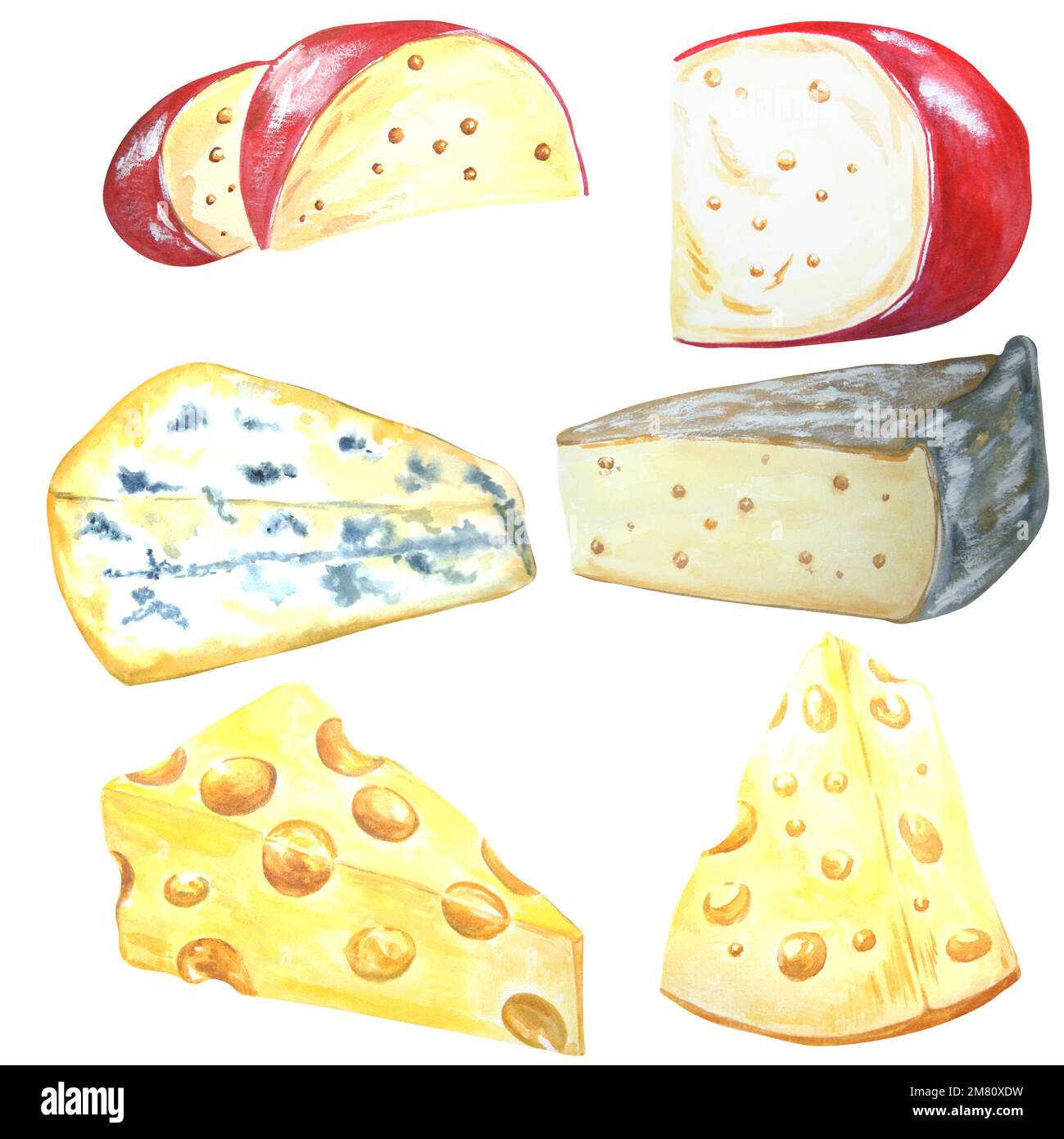 Watercolor drawing of fresh, natural cheese. Set. Isolated on white ...