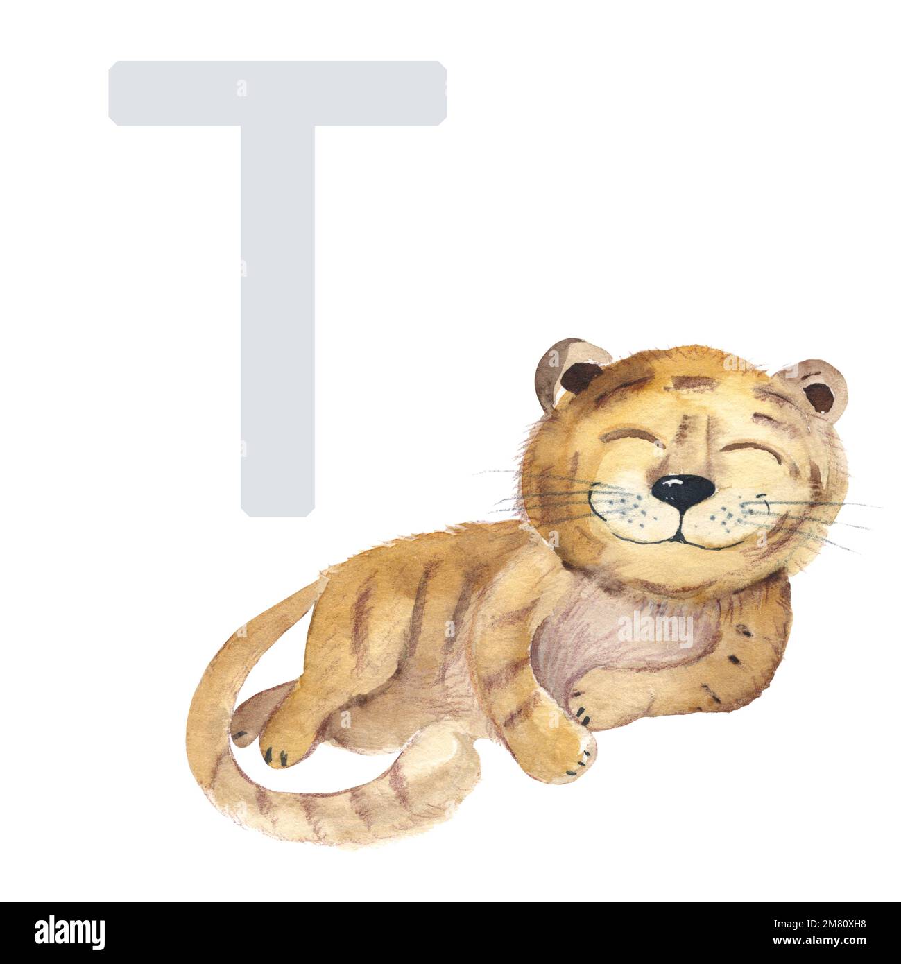 Letter T, tiger, cute kids animal ABC alphabet. Watercolor illustration ...