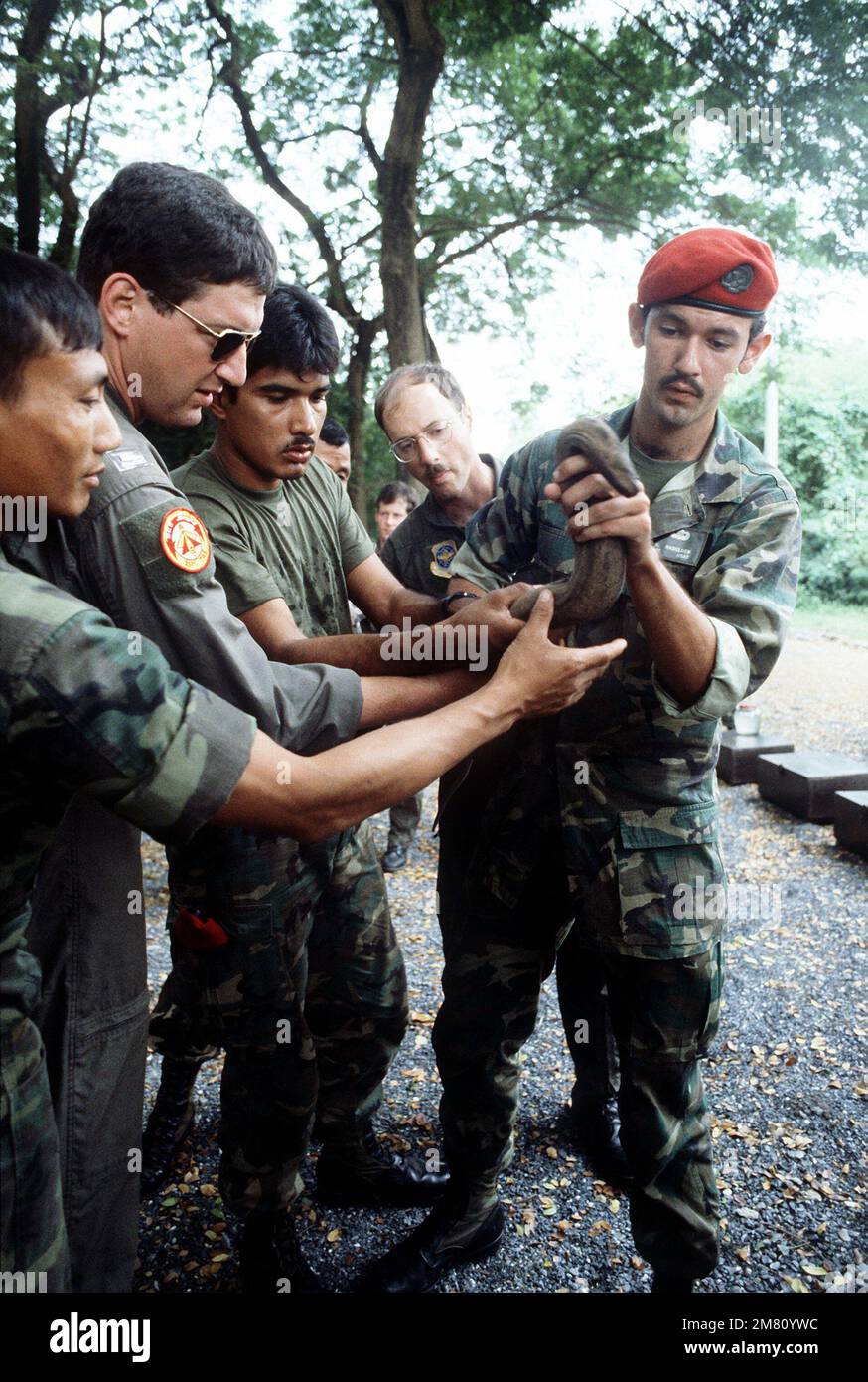 U.S. Air Force personnel handle a live snake during a lecture on snake ...