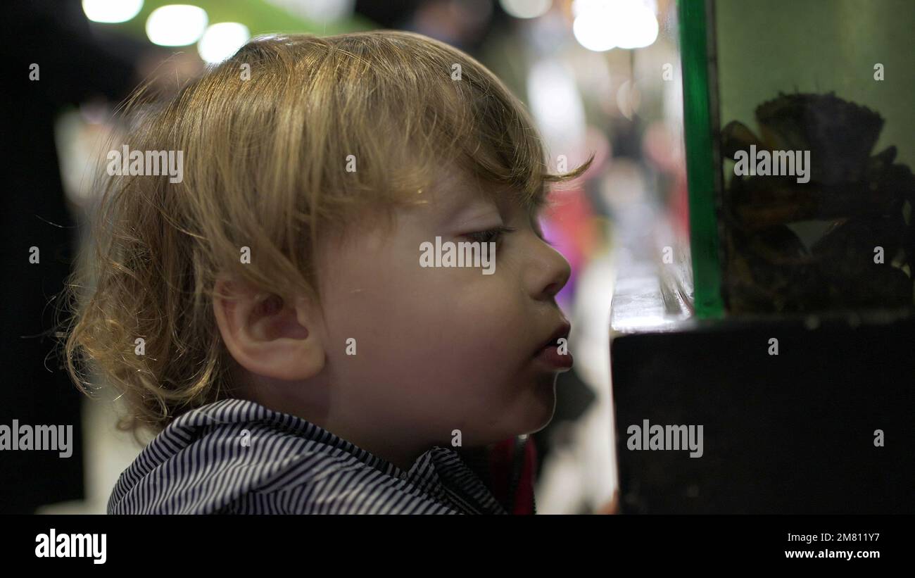 Toddler child obsering aquarium kid hi-res stock photography and images ...