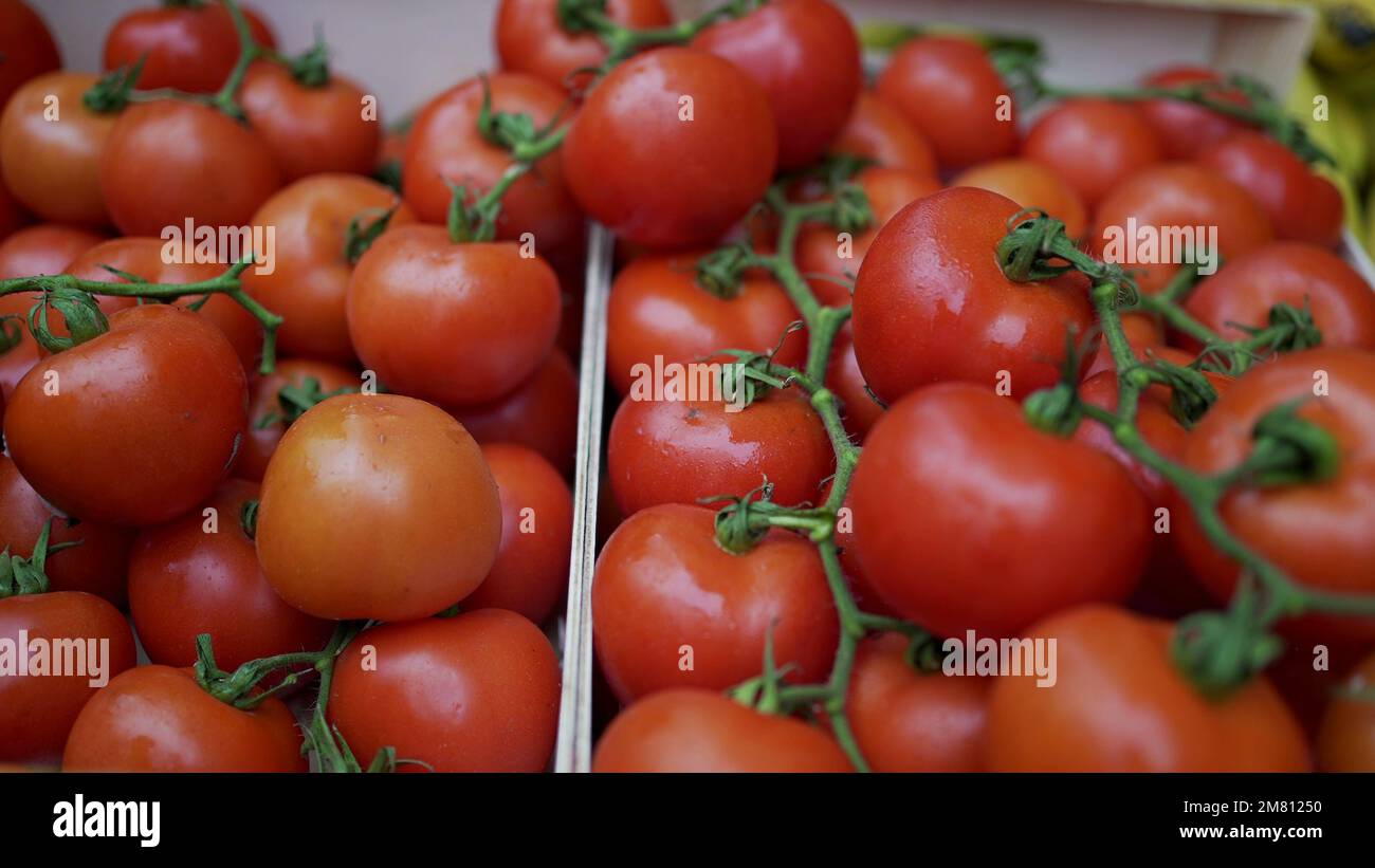 Tomatoes on display for sale at food street market Stock Photo - Alamy