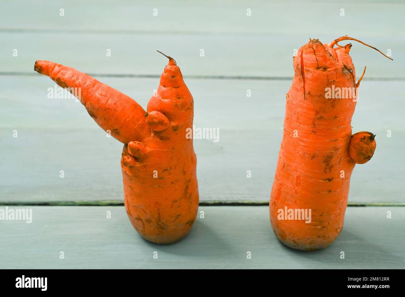 two strange carrot of an unusual shape. close-up Stock Photo - Alamy