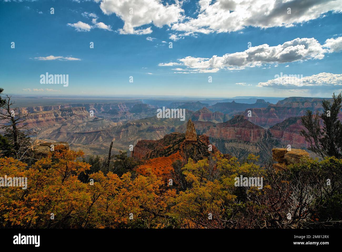 Grand Canyon National Park, located in northwestern Arizona, is the ...