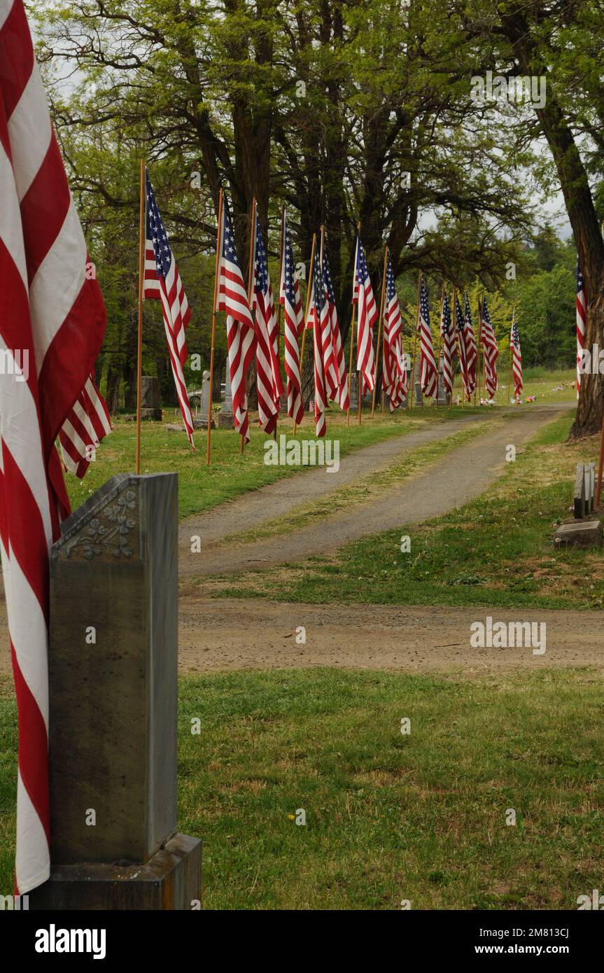 Flags in a Cemetery Stock Photo - Alamy