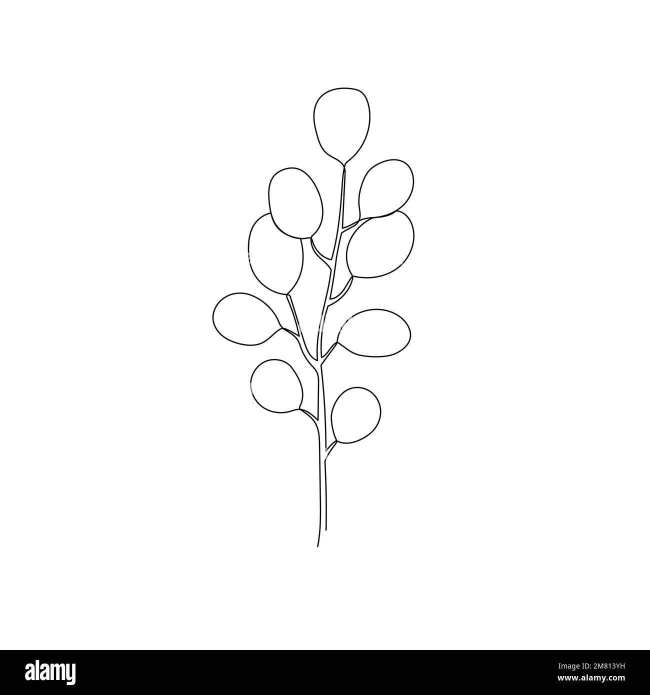 Outline plant eucalyptus leaf. One continuous line art decorative plant ...