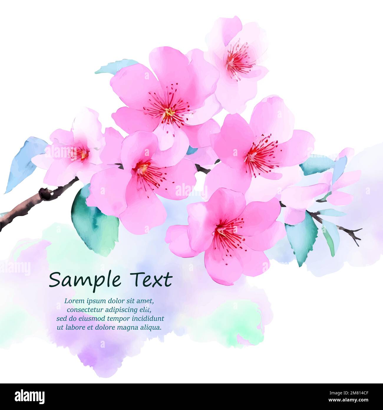 Vector decoration branch with flowers, spring cherry blossom on white ...