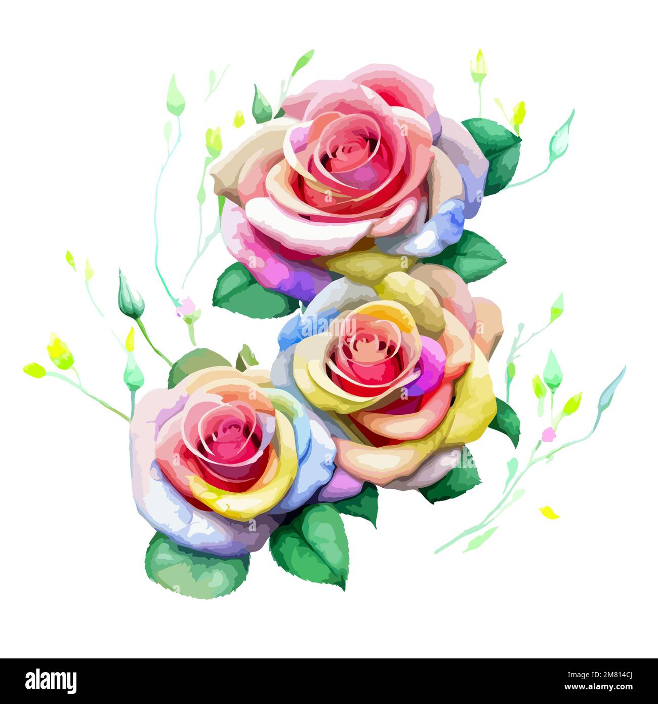 Garden roses vector vectors hi-res stock photography and images - Alamy