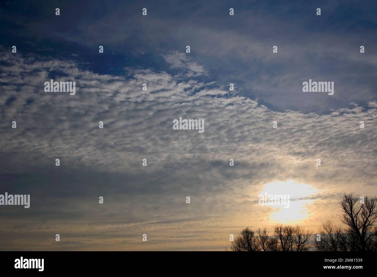 Cirrocumulus Stratiformis Clouds in a blue sky Stock Photo - Alamy