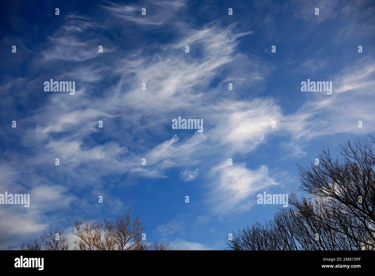 Cirrus Uncinus clouds in a blue sky Stock Photo - Alamy